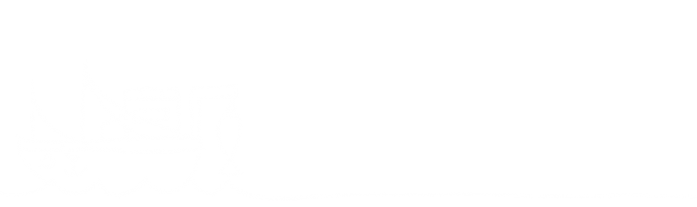Verse vis kopen bij Vislokaal | Zeevruchten en verse vis bestellen
